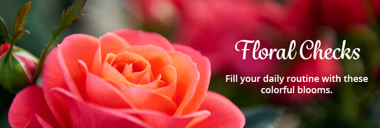 Floral Checks - 2020 Sale: Up to 50% Off | Checks Unlimited